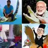 Seeman,சாவர்க்கருக்கு புல்புல்: மோடி, சீமானுக்கு என்ன தெரியுமா? - pm ...
