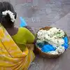 Madurai Malli,குசும்பு பண்ணும் மதுர மல்லி.. எகிறும் விலை.. உயரும் ...
