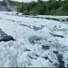 Kelavarapalli Dam,துர்நாற்றம் வீசும் கெலவரப்பள்ளி நீர்த்தேக்க அணை நீர் ...