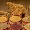 Millet Export,அதிகரிக்கும் சிறு தானியங்கள் ஏற்றுமதி.. மத்திய அரசு ...