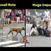 Small Role Huge Impact Trend,நான்பாட்டுக்கு ரோட்ல செவனேனு தான போயிட்டு ...