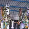 Rasipuram Pallathu Karupanar Temple Festival,4 ஆண்டுகளுக்குப் பின் ...