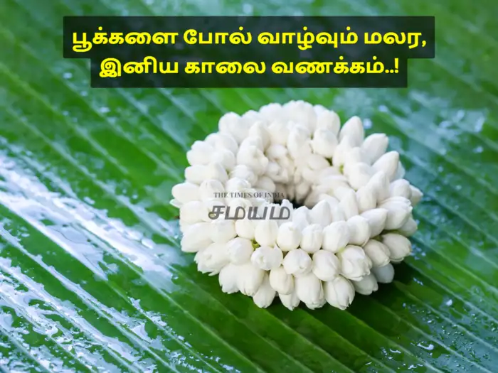 Good Morning Tamil Images,Good Morning Status Tamil : பூக்கள் பூக்கும் ...