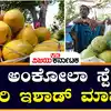 ಉತ್ತರ ಕನ್ನಡದ ಮಾರುಕಟ್ಟೆಗಳಲ್ಲೀಗ ಕರಿ ಇಶಾಡ್ ಮಾವಿನ ಘಮಲು - huge demand for ...