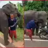 Viral Video : ತನ್ನನ್ನು ಬಿಟ್ಟು ಹೋಗದಂತೆ ಮಾಲಿಕನನ್ನು ತಡೆಯುವ ಮರಿಯಾನೆ ...