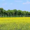 Ladpura In Madhya Pradesh,ಈ ಸುಂದರ ಗ್ರಾಮ ‘ಅತ್ಯುತ್ತಮ ಪ್ರವಾಸೋದ್ಯಮ ಗ್ರಾಮ ...
