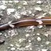 Poisonous Worms Menace In Us,ಭಾರೀ ಮಳೆಗೆ ನೆಲದಿಂದ ಎದ್ದ ವಿಷಕಾರಿ ಹುಳುಗಳು ...