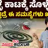 ಸೊಳ್ಳೆ ಬತ್ತಿಯಿಂದ ಯಾರಿಗೆಲ್ಲಾ ಸಮಸ್ಯೆಯಾಗಬಹುದು,ನೀವೂ ಸೊಳ್ಳೆ ಬತ್ತಿಗಳನ್ನು ...