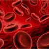 Why Blood Taste Salty,ನಮ್ಮ ದೇಹದಲ್ಲಿ ಹರಿಯುತ್ತಿರುವ ರಕ್ತ ಉಪ್ಪಾಗಿರೋದಕ್ಕೆ ...