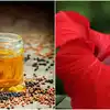 Hibiscus Flower Hair Mask,ಸಾಸಿವೆ ಎಣ್ಣೆ ಜೊತೆಗೆ ಈ ಕೆಂಪು ಹೂವನ್ನು ಬೆರೆಸಿ ...