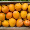 Mango Prices Fall In The Market,ಪಾತಾಳಕ್ಕೆ ಕುಸಿದ ಮಾವಿನ ಹಣ್ಣಿನ ದರ ...