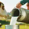 Record Milk Production In Karnataka,ಮಳೆಗಾಲ ಆರಂಭದಲ್ಲೇ ಹಾಲಿನ ಹೊಳೆ: ಈ ವರ್ಷ ...