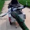 Peacock Viral Video,Viral Video: ಸಾಗುತ್ತಿರುವ ವಾಹನದಲ್ಲಿ ಲಿಫ್ಟ್‌ ಪಡೆಯುವ ...