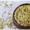 Fennel Seeds According To Nutritionist - ಸೋಂಪು ಕಾಳು ಬರೀ ಬಾಯಿ ವಾಸನೆ ...