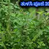 Tulsi Puja 2022,Tulsi Puja 2022: ತುಳಸಿ ಪೂಜೆಯಲ್ಲಿ ತಪ್ಪದೇ ಈ ತುಳಸಿ ...