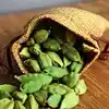 Kodagu,Cardamom Crop: ವಿನಾಶದ ಅಂಚಿನಲ್ಲಿ ಏಲಕ್ಕಿ ಬೆಳೆ: ರೈತರ ಬವಣೆಗೆ ಸಿಗದ ...