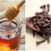 Benefits Of Honey And Cloves,ಜೇನುತುಪ್ಪ ಮತ್ತು ಲವಂಗ ಎರಡನ್ನೂ ಒಟ್ಟಿಗೆ ...